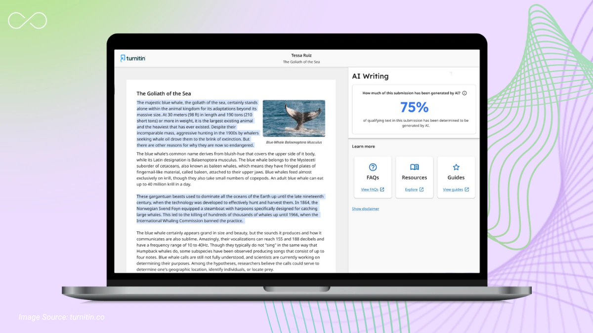 Behind an AI Detection Scan: How AI Detectors Work For Essays?